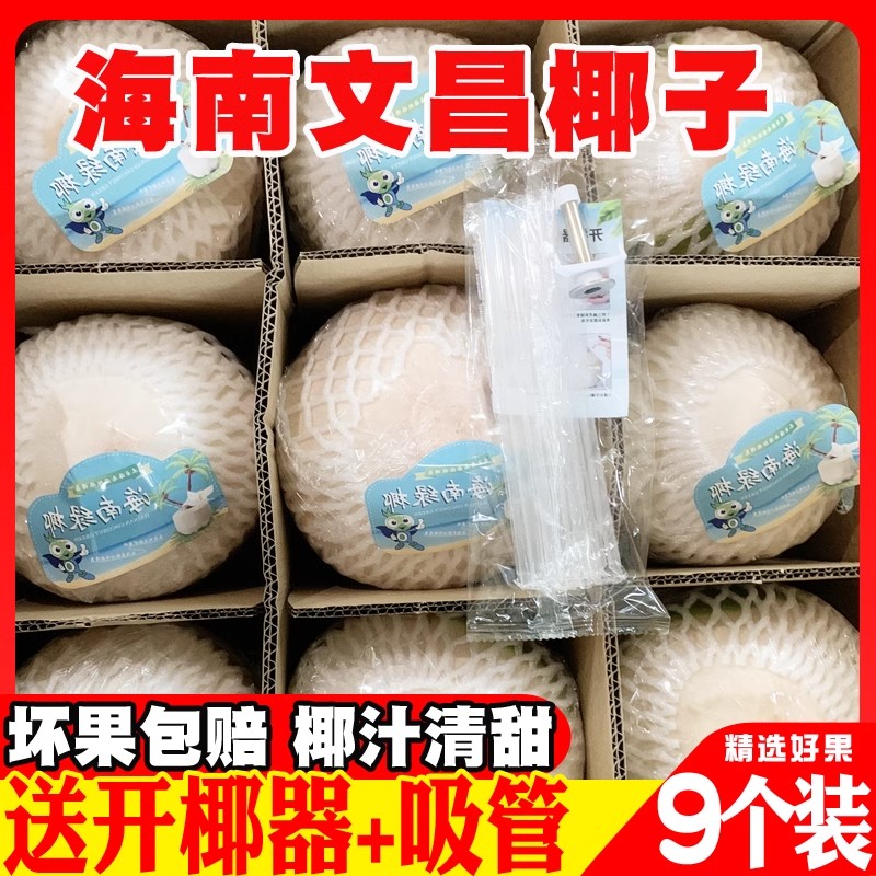 9个装去皮海南椰子新鲜椰青热带当季孕妇水果特产整箱青椰老椰子