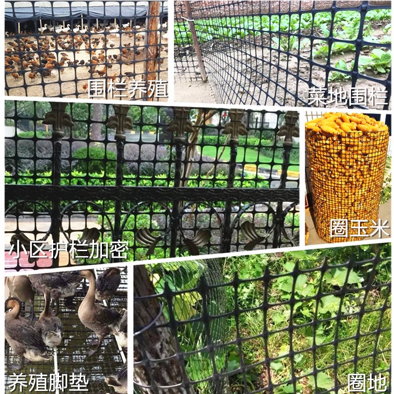 塑料网格养殖网养鸡围栏网拦鸡网户外鸡舍漏粪网菜园X防护网圈玉