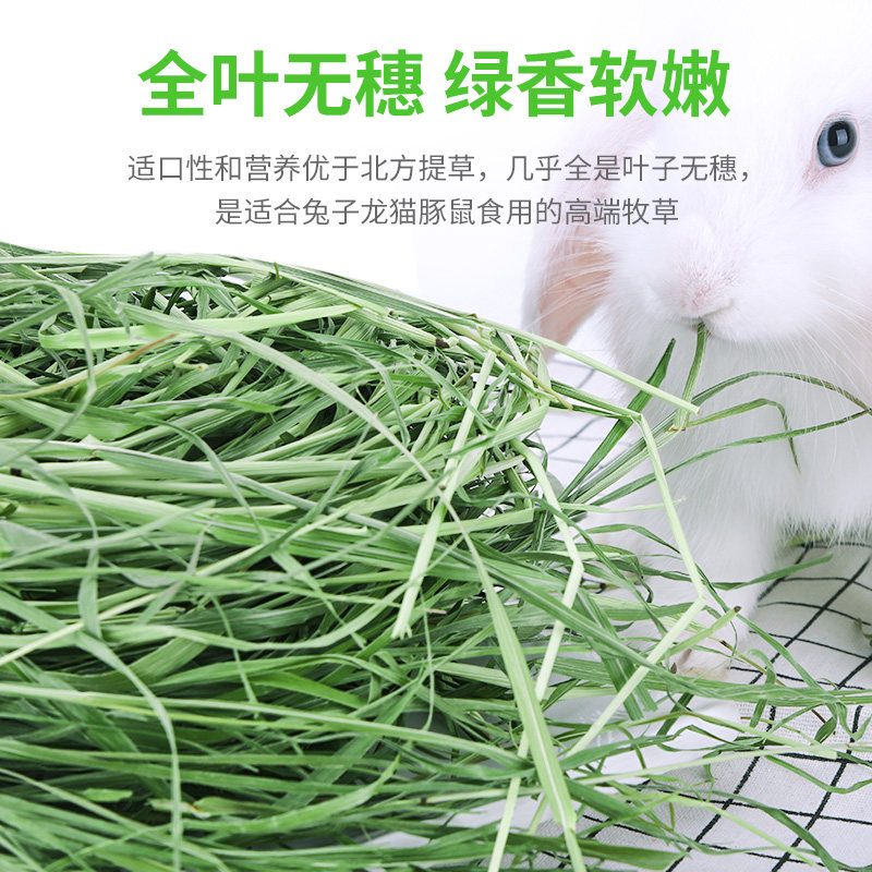好货2022年南提兔子提摩西草干草烘干牧草荷兰猪龙猫饲料幼兔兔粮