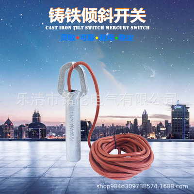 倾斜开关20-39-25料位计20-39P堵煤开关ST-20D水银开关PLR30M-G-8