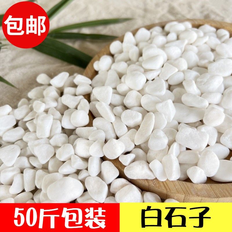 山东白色石子石i头大鹅卵石庭院铺路铺地小白石花园造景景观白石