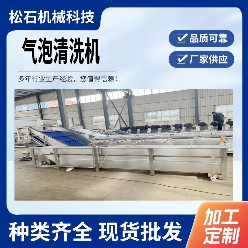 中央厨房洗菜设备 净菜蔬菜清洗机设备 蒜苗气泡清洗机