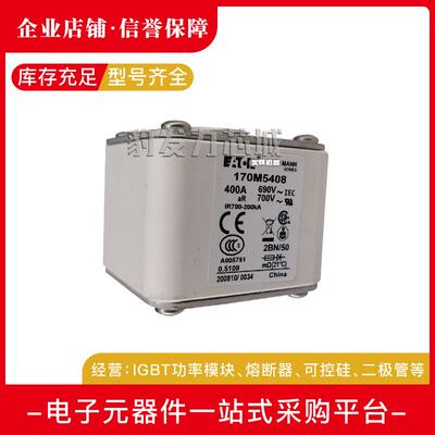 170M5394170M5395170M5396170M5397170M5398全新熔断器现货