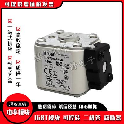 1750M41470M4515117045ZQA16170M4M517170M4518熔断器170M4519