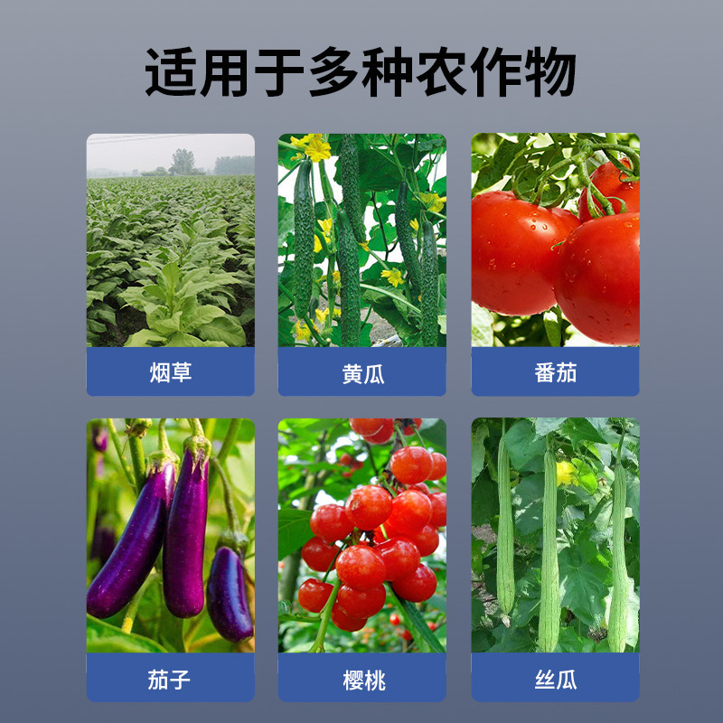 番茄电动喷花授粉器点花神器大棚蔬菜樱H桃点花器黄瓜沾花器西红