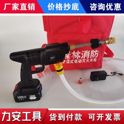 森林灭火电动水枪背负式往覆灭火机背桶20升高压细水雾扑火装备