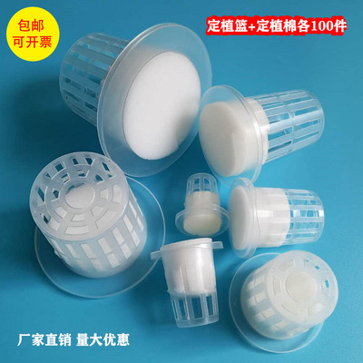 水培定植篮定植海绵固根器定植杯水耕无土栽培配件水培蔬菜定植棉