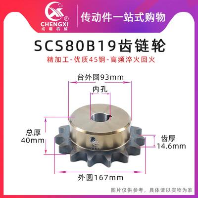 SCS高品质成型孔链轮8分 80B19齿 16A19T外径167精车内孔键槽顶丝