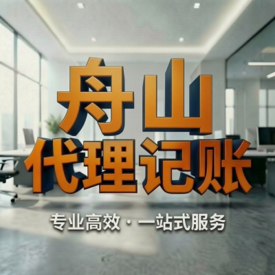 舟山公司代理记账报税做账一般纳税人小规模企业代账财税咨询代办