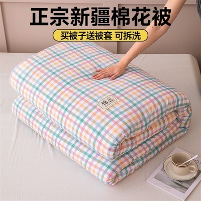 2024新款水洗棉可拆卸格子棉花被冬被纯棉花棉被夏被子被芯可机洗