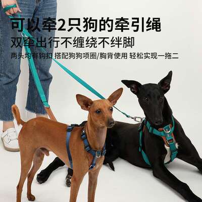 好货Bubble Pet Dog Explosion-proof Multi-functional Slant Tr
