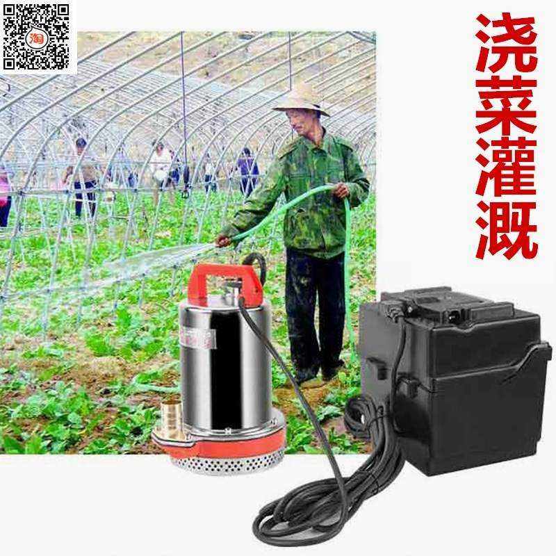 好货农田小型电瓶潜水泵充电24v48v60v直流抽水机创意菜园高扬程