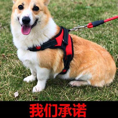 好货Dog Harness Dogs Leashs Mesh Chest Strap Supplies Adjust