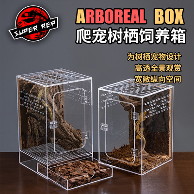 SuperRep爬虫高透亚克力树栖饲养盒睫角R属守宫树蛙昆虫爬宠箱