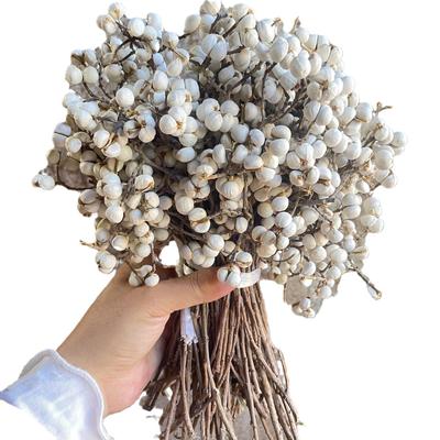 按公斤短杆小白果厂家乌桕果自然干花DIY花环花束材料田园装饰