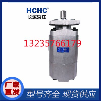 合肥HCHC长源液压泵 双联齿轮泵CBKP50/50-BFH压路机齿轮泵现货