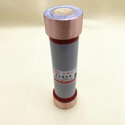 10KV户内高压熔断器RN1-10/20A25A30A40A50A限流熔丝管55*410