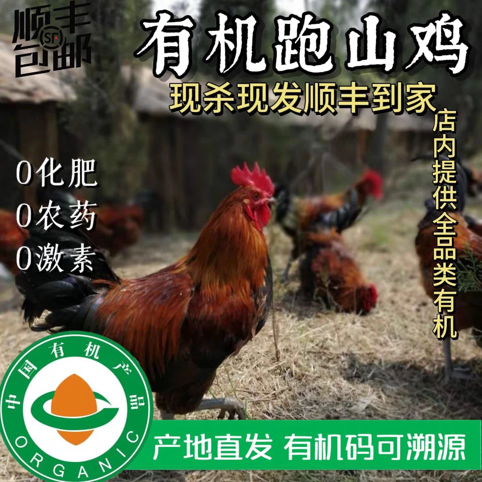 山东一正有机跑山鸡现杀现发顺丰包邮0化肥0农药整鸡制品
