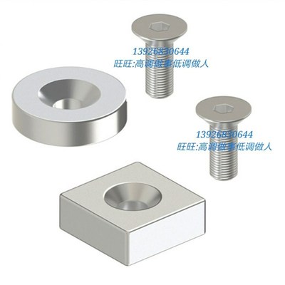 平头螺栓止动型汝铁硼磁铁 怡合达型 BLS70/BLS71-A10-T3/T4