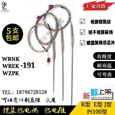 WRNK WREK WZPK-191铠装热电偶 阻K E J Pt100型探针式温度传感器