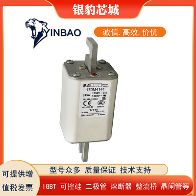 170M4164-170M4169熔断器