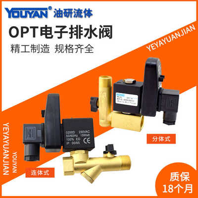 0200D储气罐4分6自动OPT排污A电子排水阀220V定时B开关电磁阀DN15