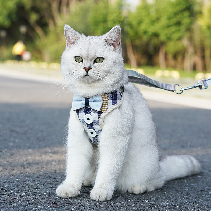 宠物猫咪牵引绳防挣脱背心式背带猫咪外出专用遛猫绳子栓猫链子