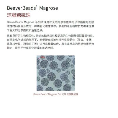 BeaverBeads Magrose NH2 氨基磁珠 海狸Beaver 70203-5