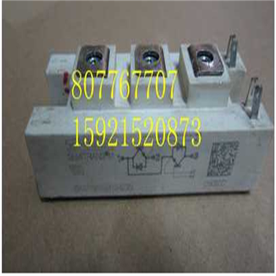 SKM195GB125DN SKM195GB124DN保证质量（反映电子）