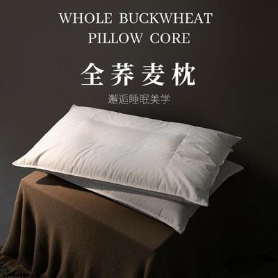 五星级酒店专用荞麦枕头纯棉A类荞麦枕芯单人家用全荞麦枕头