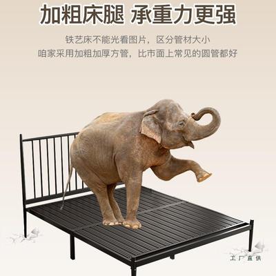 经济型室RDK家用铁艺床双床人床现代简约骨排架卧铁床单人架加粗