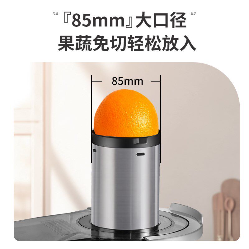甘蔗榨汁机商用j渣汁分离全自动大口径家用榨水果汁西芹汁