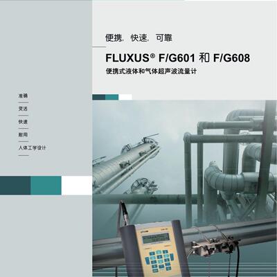 FLEXIM F/G601 F/G608 便携式液体气体超声波流量计议价维修