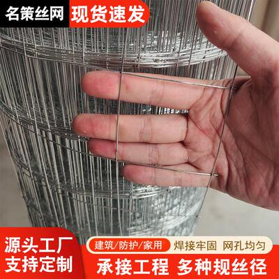 镀锌电焊钢丝网建CFU筑内外墙隔灰防网裂砂浆挂网养殖抹离网铁丝