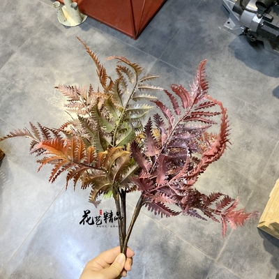 渐变秋红色仿真中蕨贯众园林造景枯山水橱窗阳台室内大型植物绿化