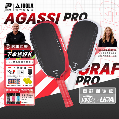阿加西联名系列碳纤维匹克球拍