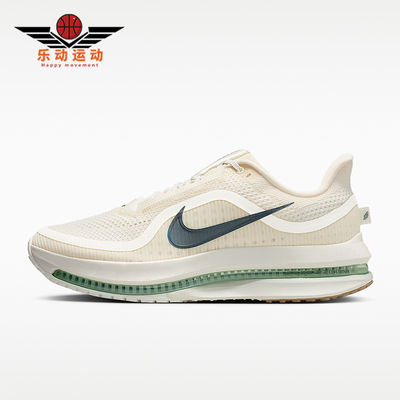 Nike/耐克正品PEGASUS PREMIUM男士防滑网面训练跑步鞋HQ2592-106