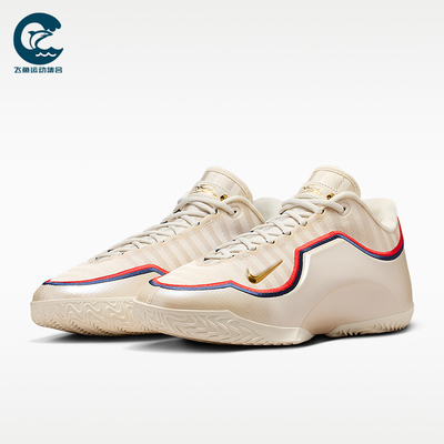 Nike/耐克正品JORDANLeBronXIEP詹姆斯经典男篮球鞋IB9563-103