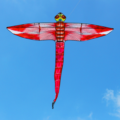 基林蜻蜓风筝微风易飞抗大风