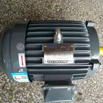 电机TEGH100L1-43HP2.2W1455r/min220V/380VAEEFF3
