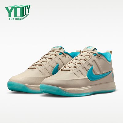 Nike/耐克正品四季款男士系带耐磨时尚篮球鞋IR6445-100