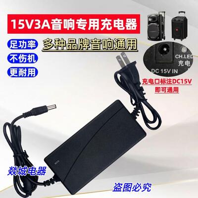 适用B&O邦及欧陆A2蓝牙音箱BEOPLAY A3音响15V2.8A充电源适配器线适用8822