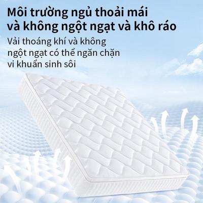 Giường nệm Latex mattress with springs 酒店乳胶弹簧床垫