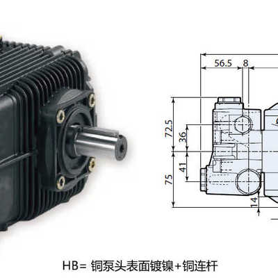 ANNOVI REVERBERI高压柱塞泵SXW21.35 COD.2871