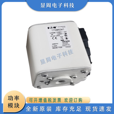 全新保险丝熔断器170M6559 170M6560 170M6561 170M6562 170M6563
