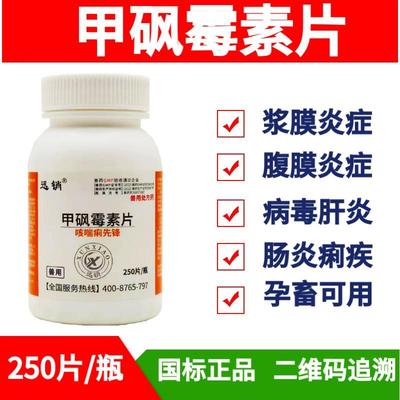 甲砜霉素兽用鸡药鸭浆膜炎霉素片鸡药大全痢疾拉稀腹泻