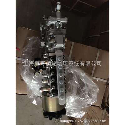 喷油泵6PWS828E1111010-454-ZQ10W和1144&5C12A&5C1047S-205CAL