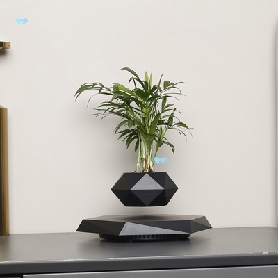 Indoor Magnetic Levitation Floating Flower Planter Pots跨境