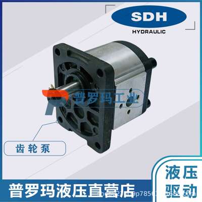 SDH齿轮泵液压油泵CBD1-F520 CBD1-F522 CBD1-F526 CBD1-F533