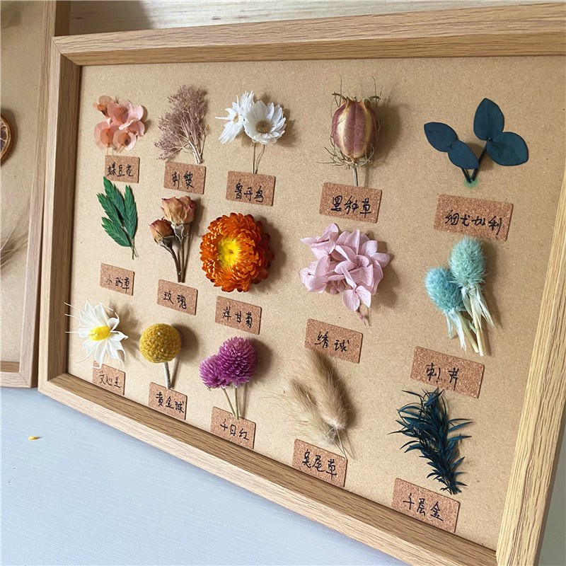 标本类立体装饰画松果植物干花干果森系相框墙ins面桌X面手工diy